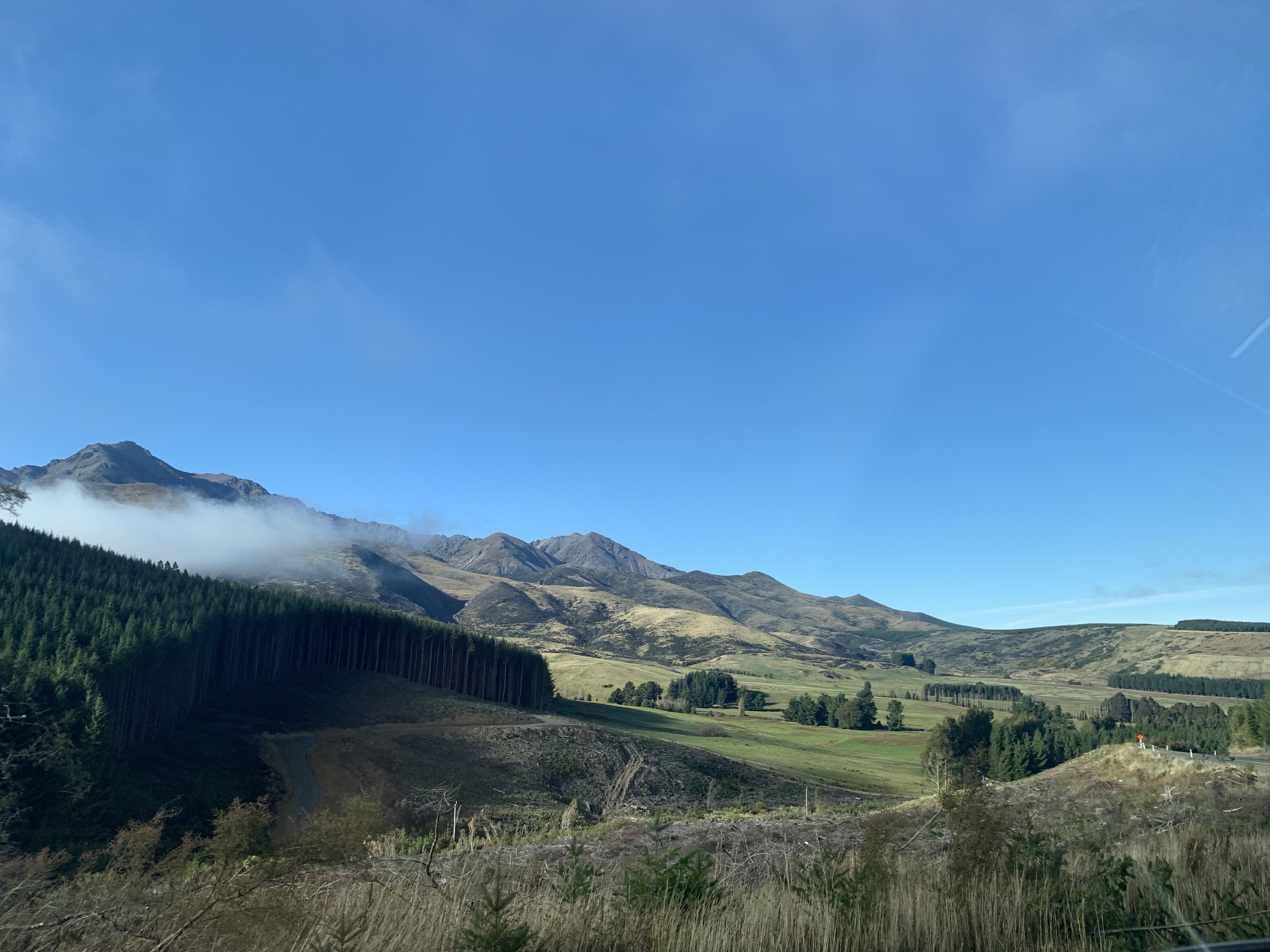 Invercargill & Bluff – Traveling With Kids.net